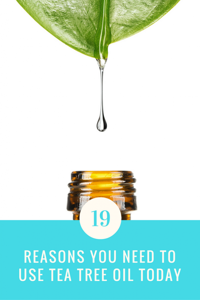 Tea Tree Oil Uses - 19 Reasons You Need to Use It Everyday