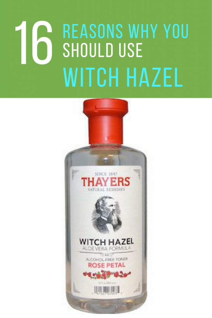 Witch Hazel Uses: 16 Reasons Why You Should Use It Today