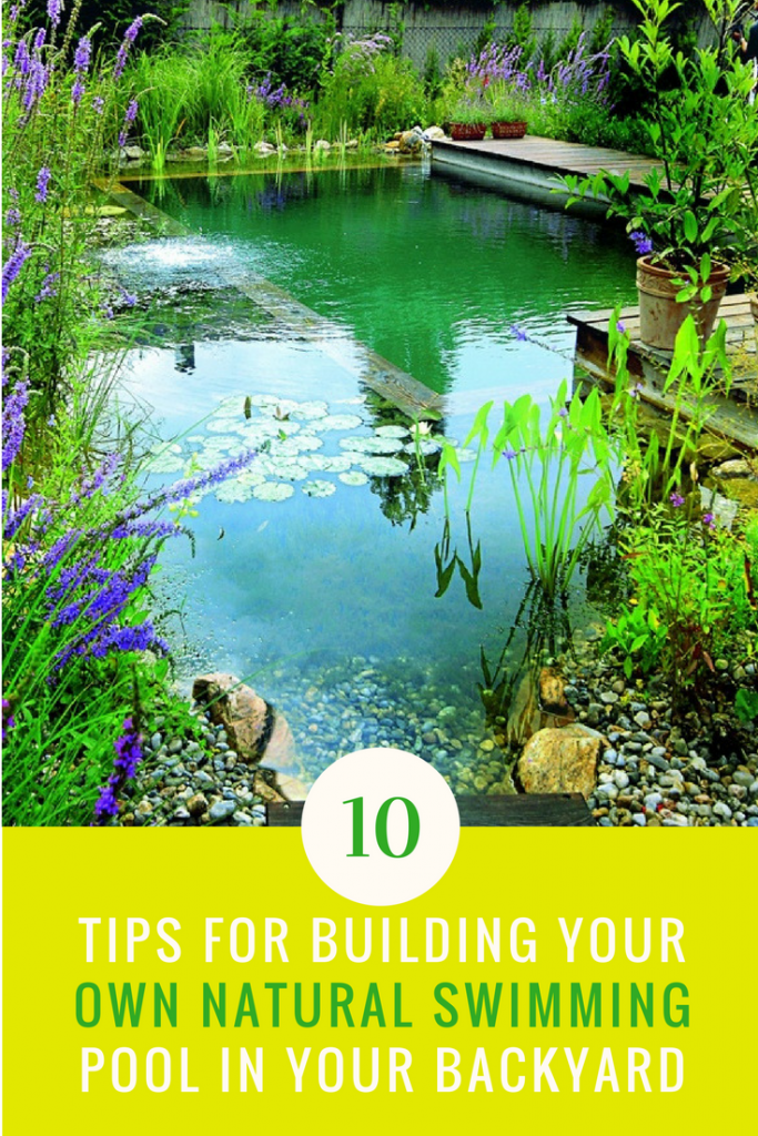 10 Tips For Building Your Own Natural Swimming Pool (DIY Style)
