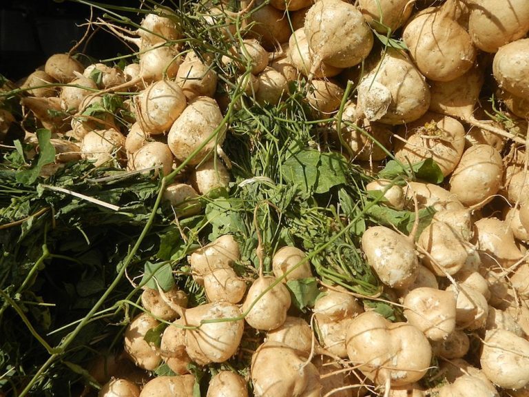 Maca Root Benefits: 16 Ways It Could Improve Your Life