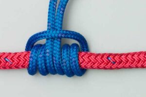 17 Essential Knots You Need to Know in 2022 (With Images)